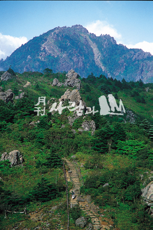 지리산 기점산행 4選 산의 나라 산의 제왕 지리산 즐기기